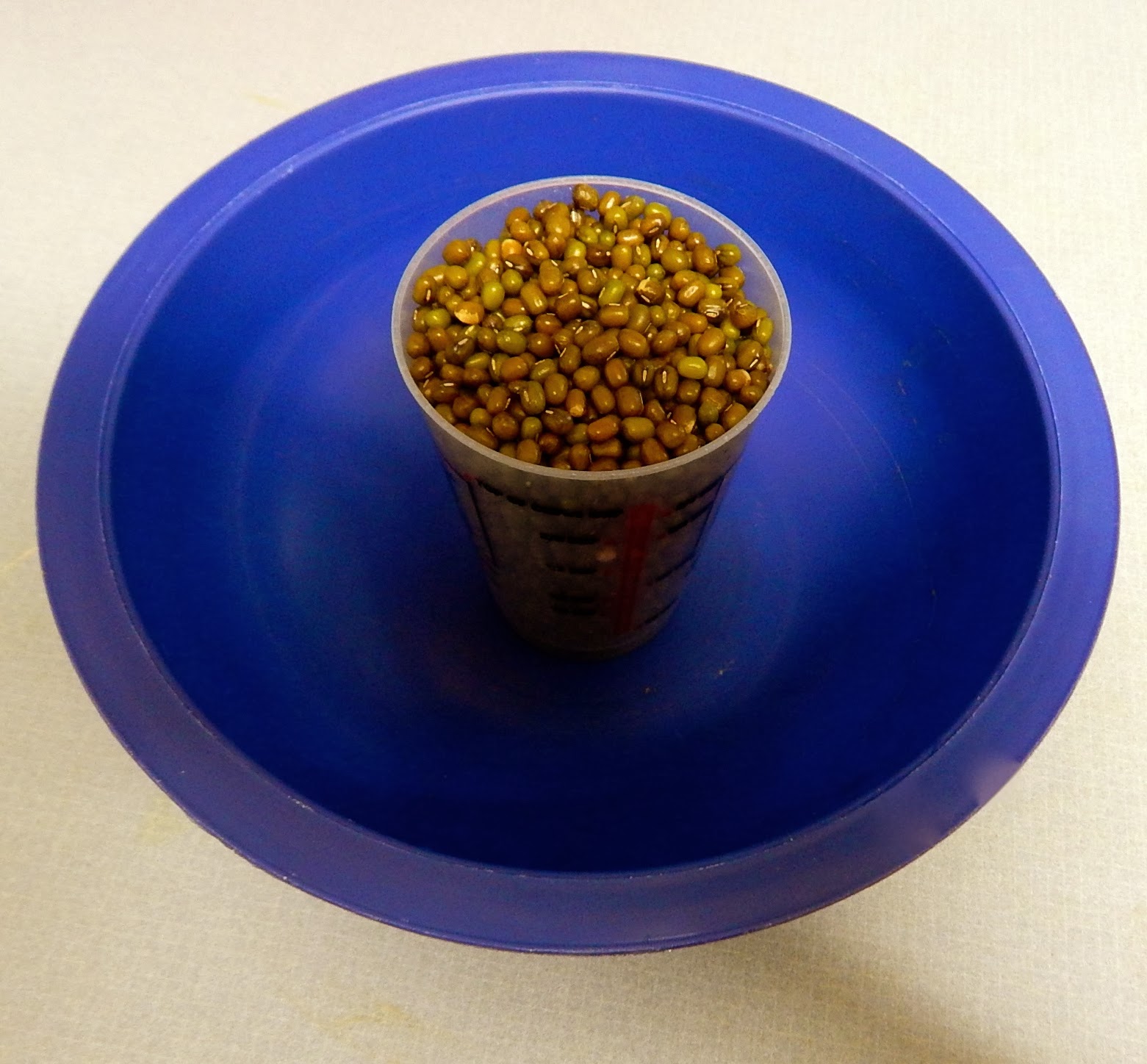 Palatable dishes from Jess's kitchen :) : Kanji , Green gram stir fry ...