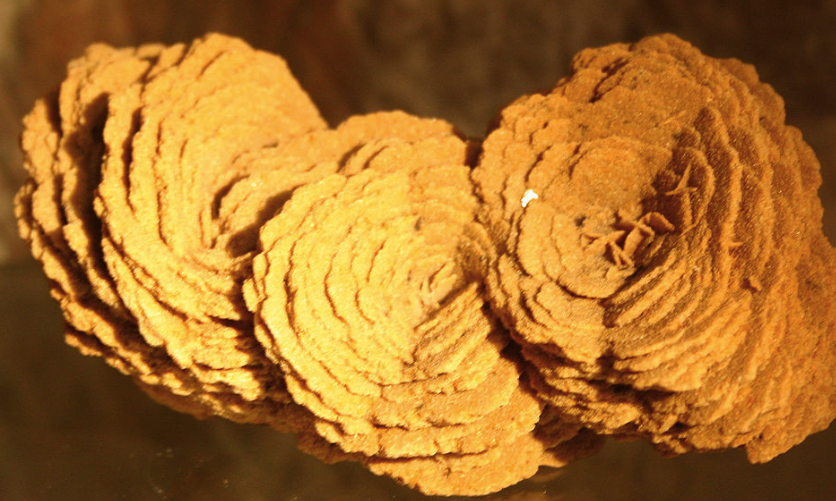 Biologia - nauka o życiu: Berylowce (Metale ziem alkalicznych), cz. 2 ...