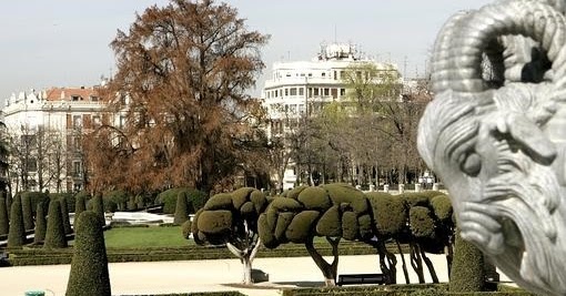 MIL Y UNA HISTORIAS : El ahuehuete del Retiro - Madrid