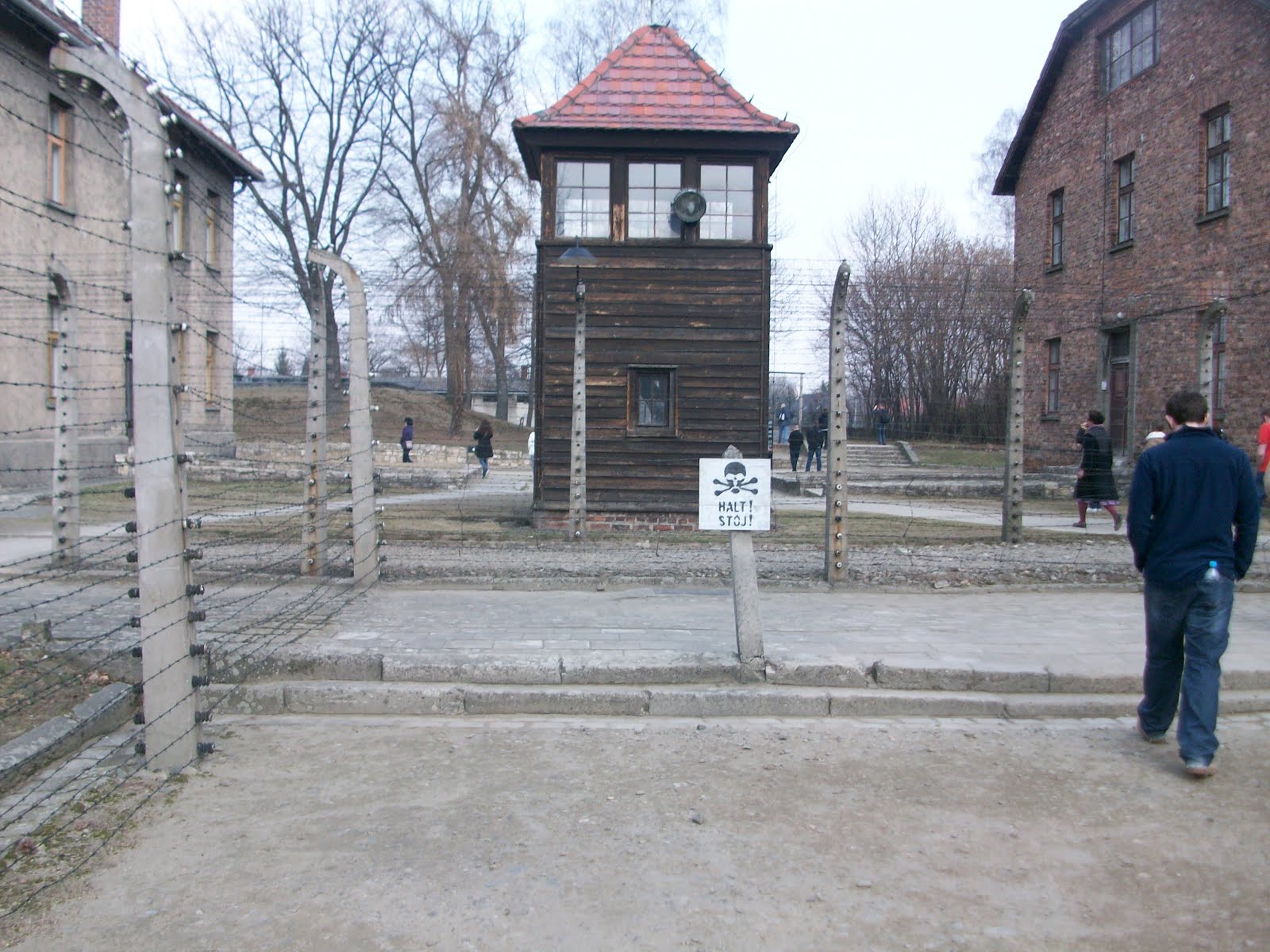 Proyecto Leonardo.: Auswitch