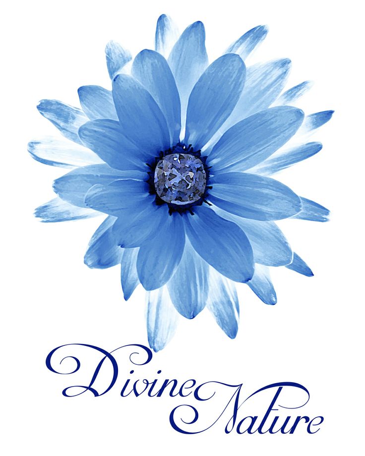 Sea Star Academy: Personal Progress - Divine Nature #7