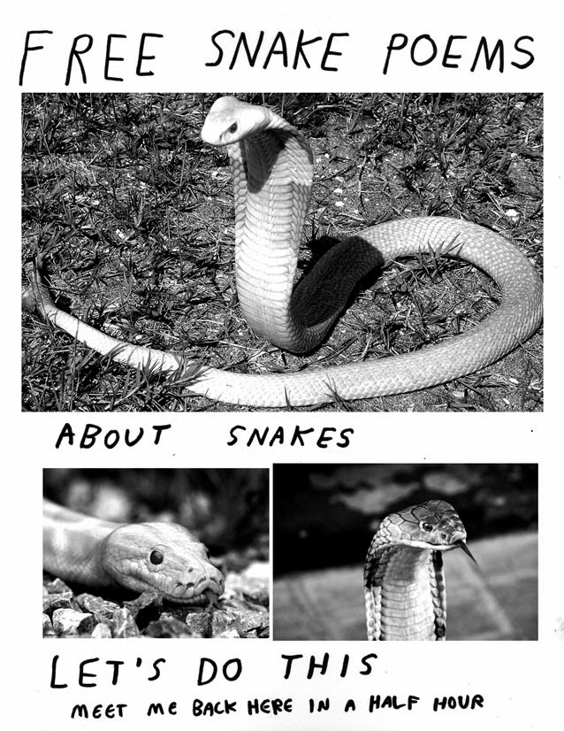 Hobo Camp Review: Review of 'Free Snake Poems About Snakes: Let’s Do This'