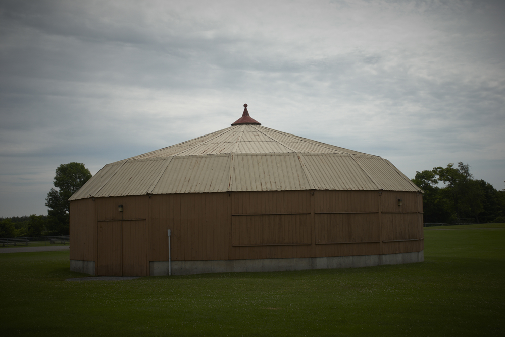 Doctor Underscore Cloin: The Roseneath Carousel