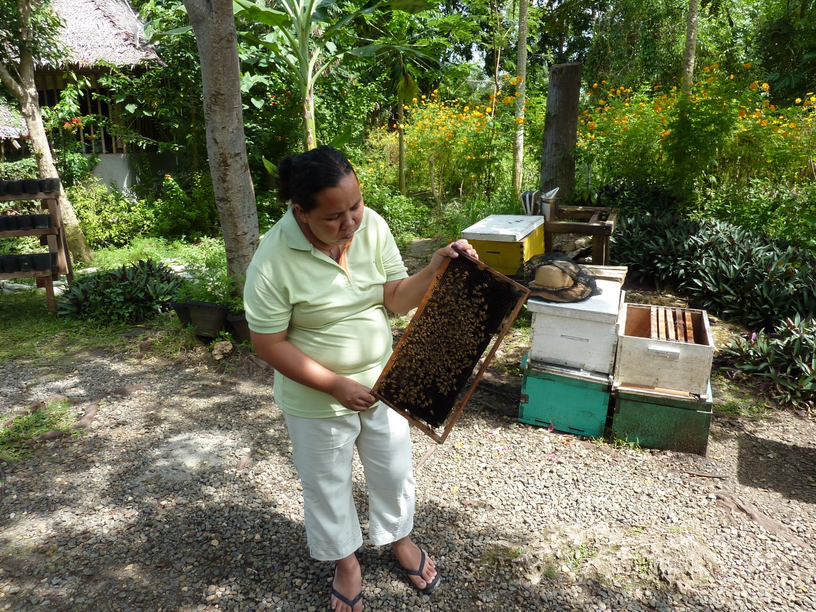 chronicles of a happy traveler: Bohol Bee Farm: Organic Farm Paradise