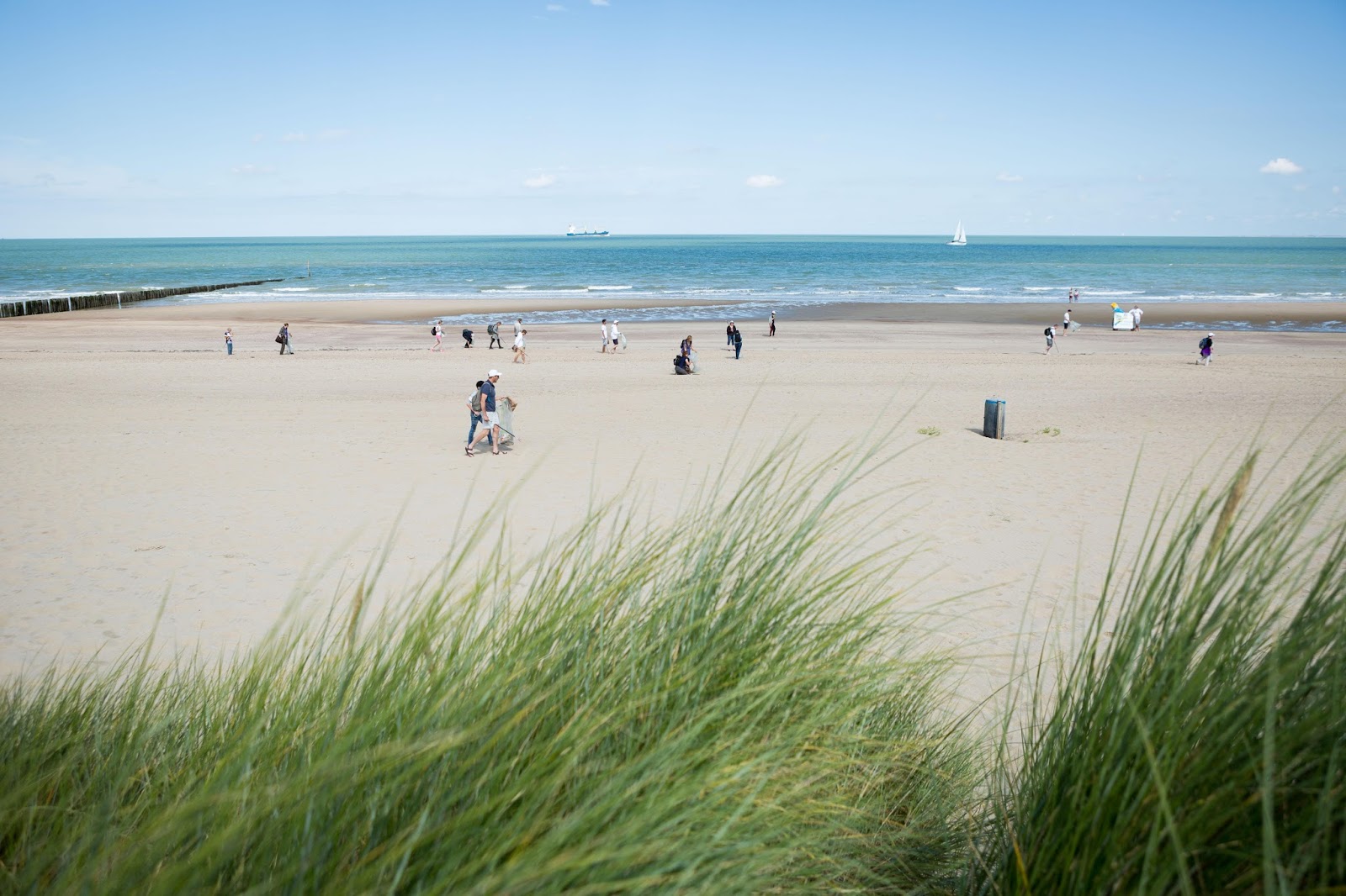 Mille Pagine: Groene dingen in mei