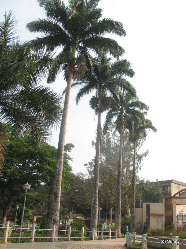 Sagara Teeram: A Morning Visit to the Indira Gandhi Glass House, Hubli