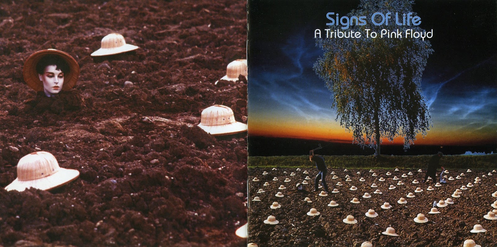 Pink Floyd Ilustrado: 2000 Signs of Life - A Tribute to Pink Floyd ...