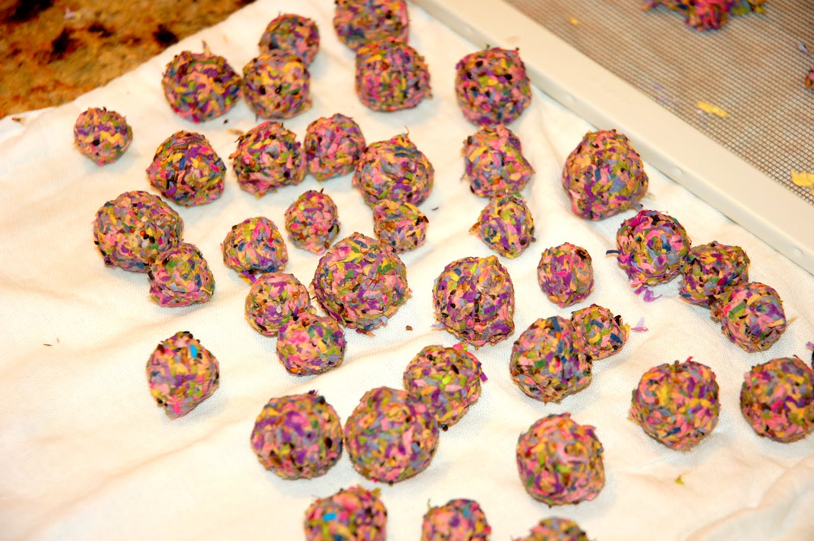 restlessrisa: SEED BOMBS!