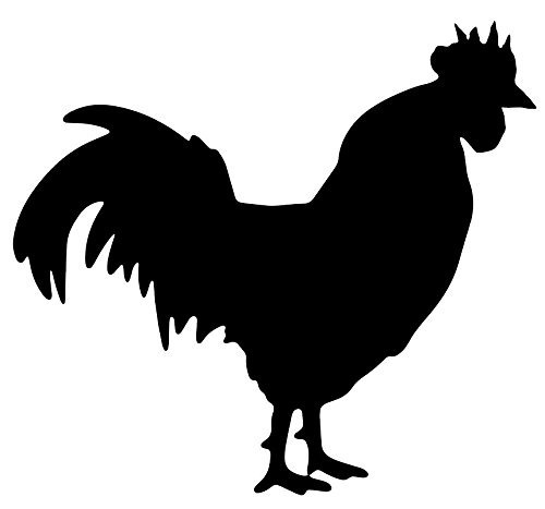 Logia José de Moldes N°2: EL SIMBOLISMO DEL GALLO EN LA MASONERÍA