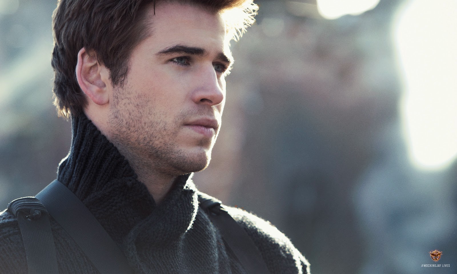 Welcome to District 12: The Hunger Games Exclusive Issue #2