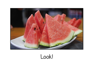 Chapel Hill Snippets: "Like, Not Like"---Core Vocabulary Book to Print