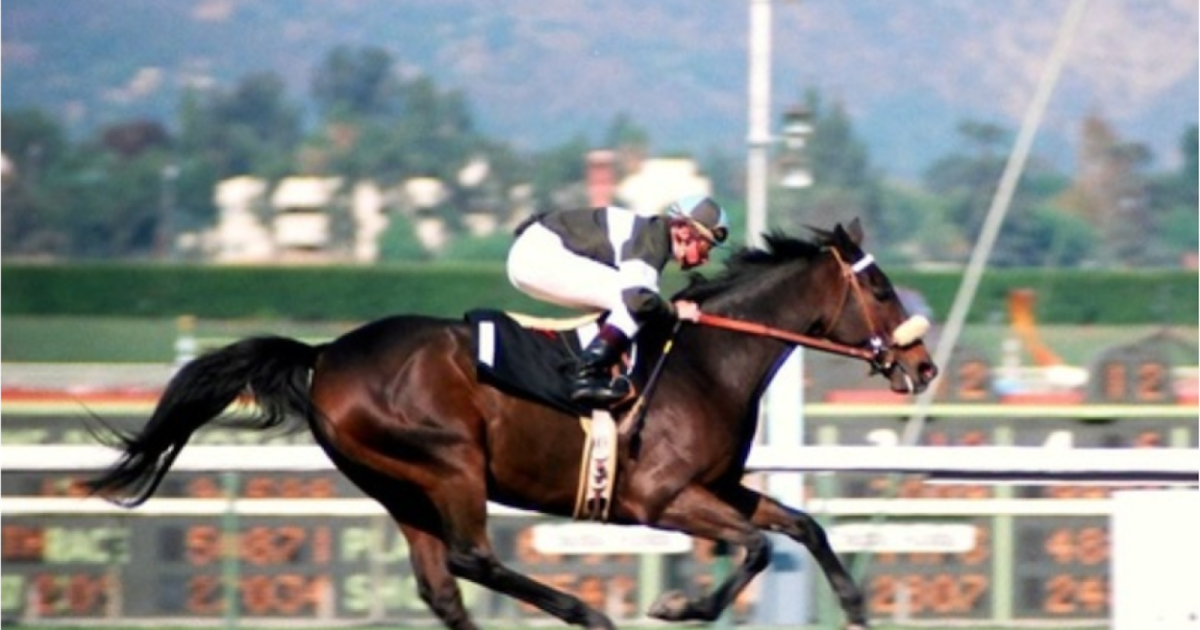 Turf Stats: JOHN HENRY