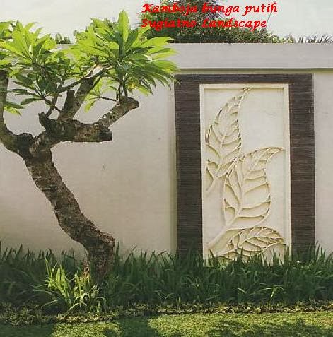 Pohon kamboja fosil | kamboja forsil | kamboja bunga merah merona,fanta ...