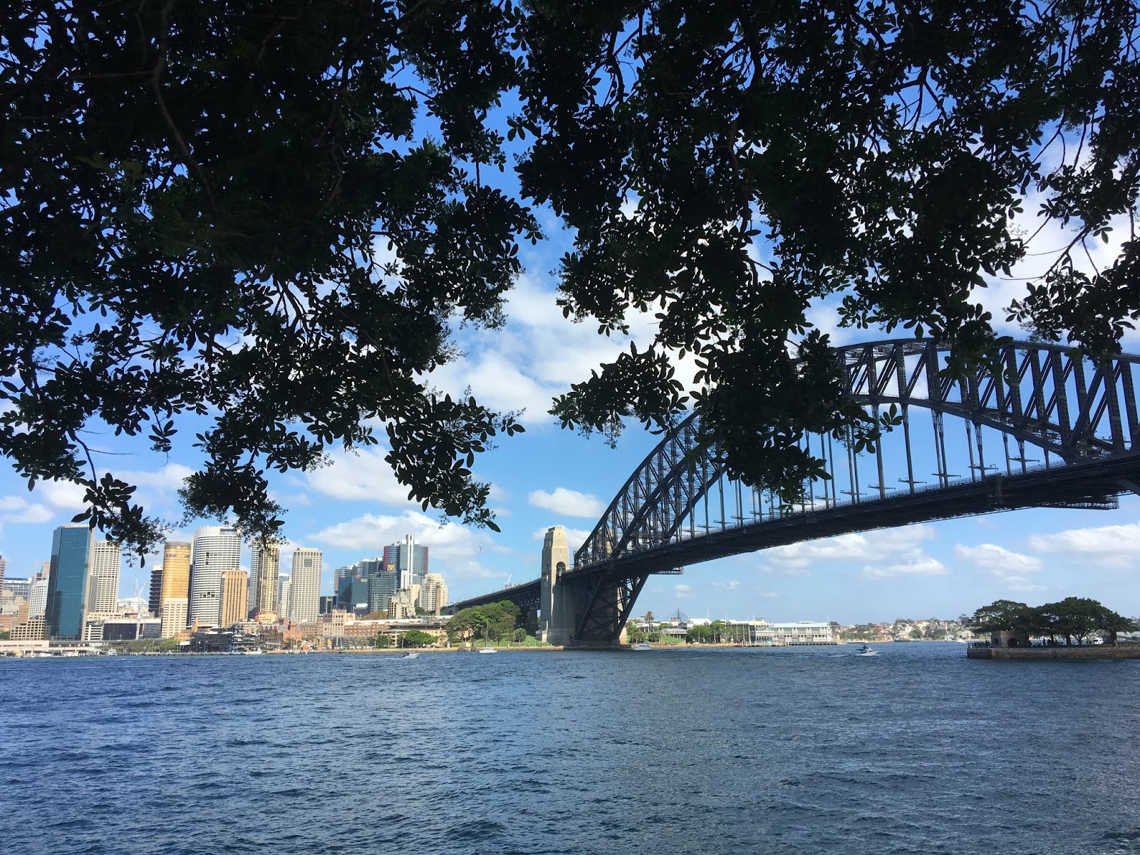 Four Seasons: Kirribilli Walk