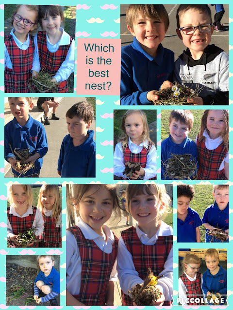 Rangiora New Life - Junior School Blog