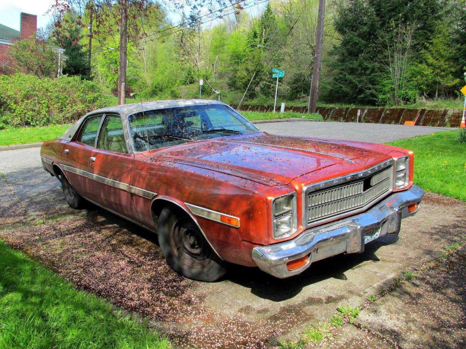 Seattle's Classics: 1977 Plymouth Fury Salon