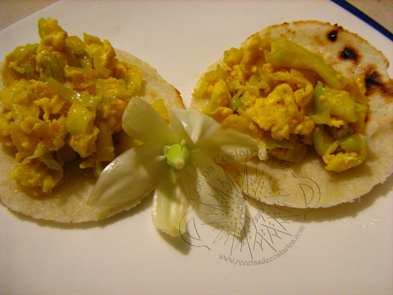 Cocina Costarricense: flor de itabo en gallos