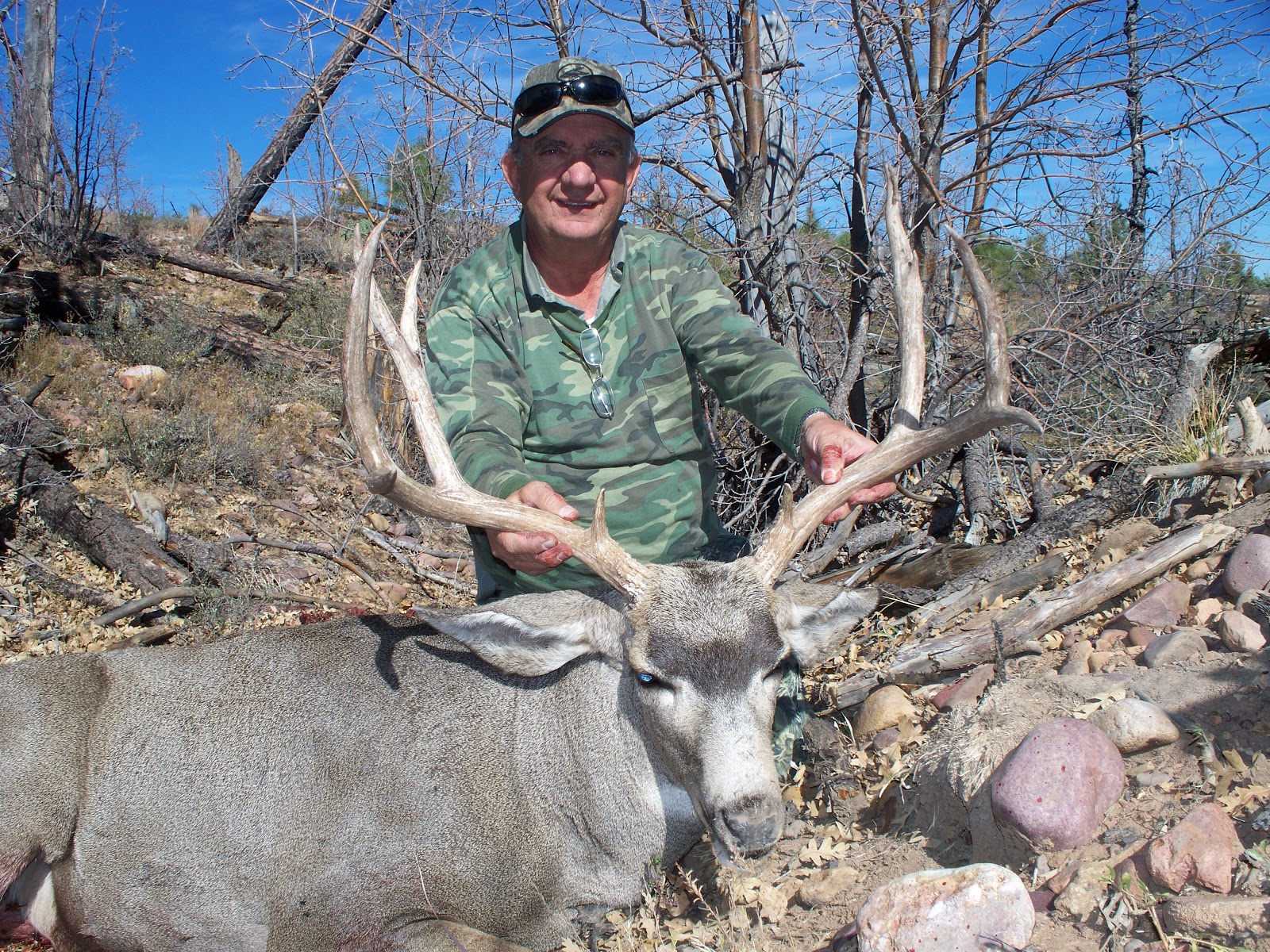 Burnt Timber Outfitters: Kent Hall's "Wrong Buck" AZ 3C Mule Deer