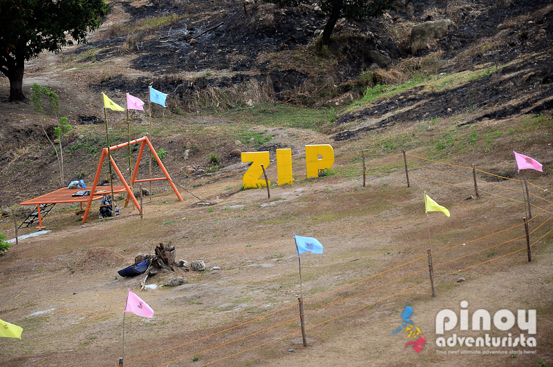 TOP PICKS: 15 Fun and Exciting Things To Do in Zoocobia Fun Zoo You ...