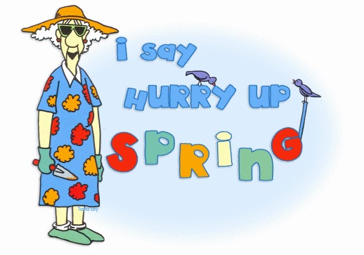 Buckets of Gardening Ideas