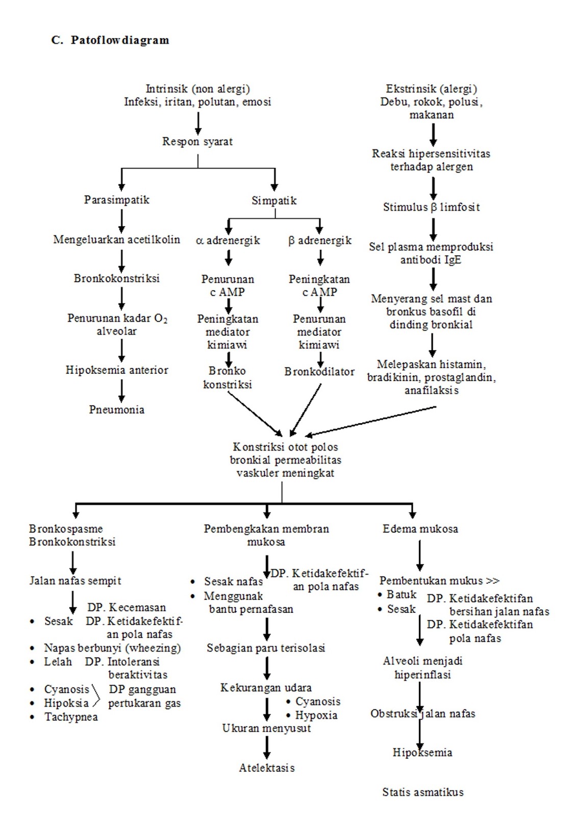 Kumpulan Askep Lengkap dengan Patofisiologi: ASMA BRONKIAL