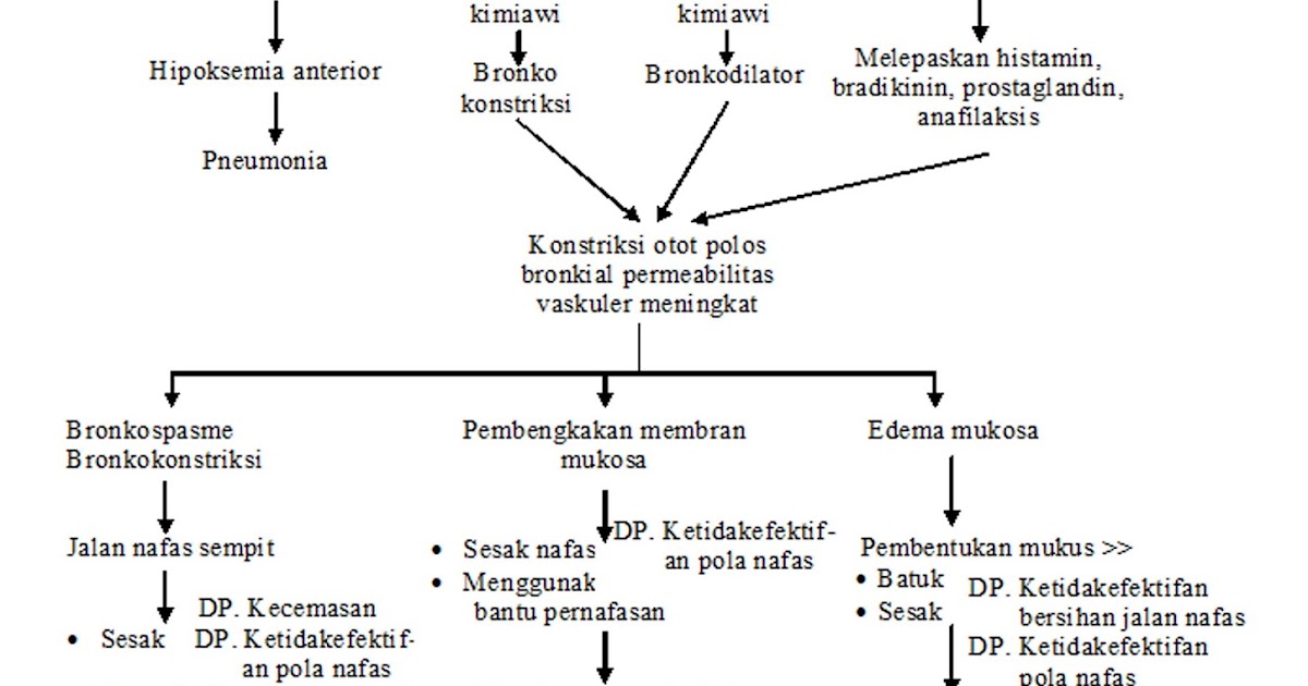 Kumpulan Askep Lengkap dengan Patofisiologi: ASMA BRONKIAL