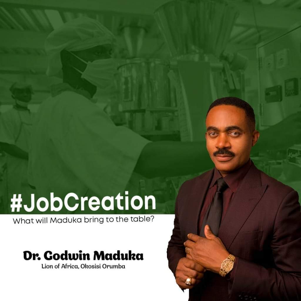 IN ANAMBRA: Employment: What will Dr. Maduka bring to the table ...