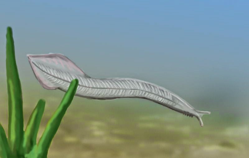 aulabiogeotoni: 1º BACHILLERATO. PALEOZOICO, MESOZOICO Y CENOZOICO