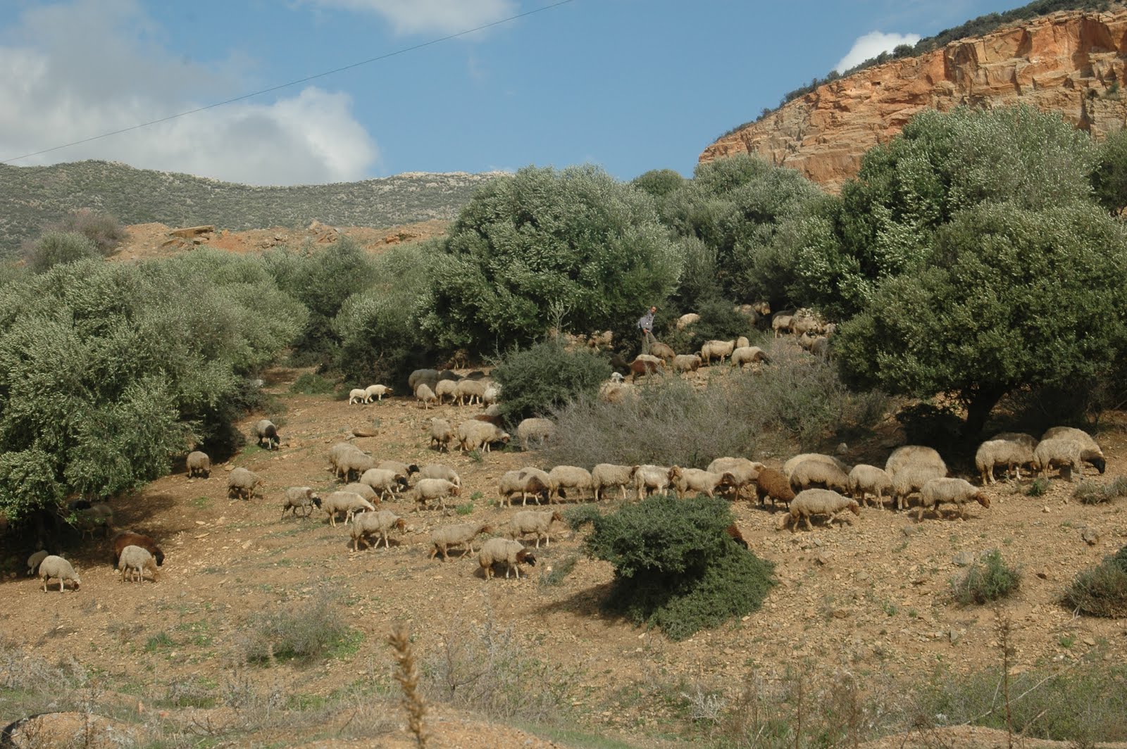 Tunisia: More Tabarka Pictures