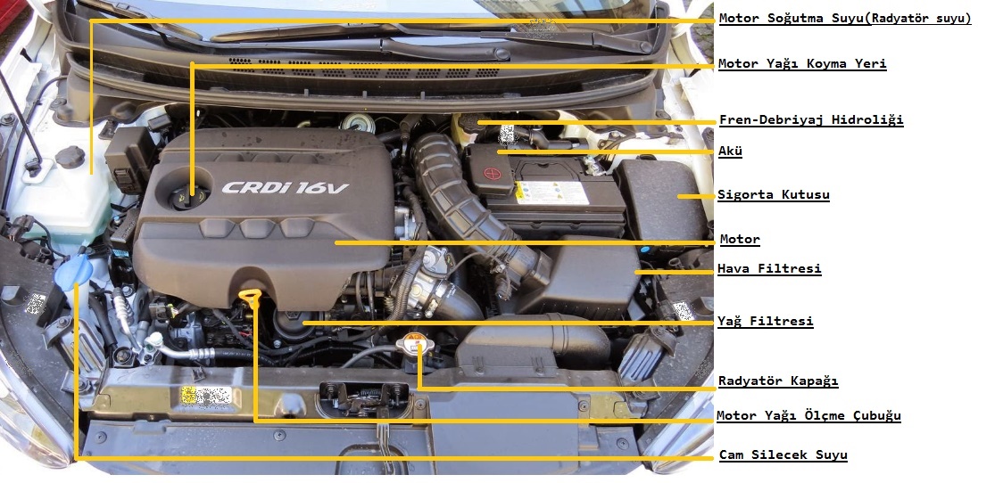 Direksiyon Eğitmeni Dilek Hoca: Direksiyon sınavları hakkında