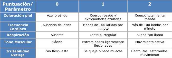 Procesos Cognitivos...: Desarrollo Fisico en los primeros 3 años