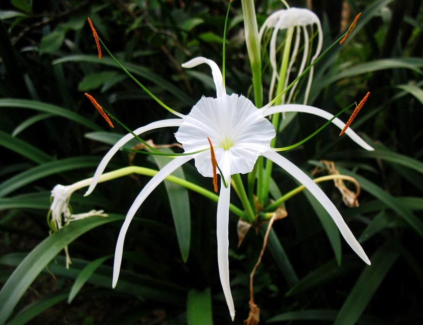 Stock Pictures: August 2014