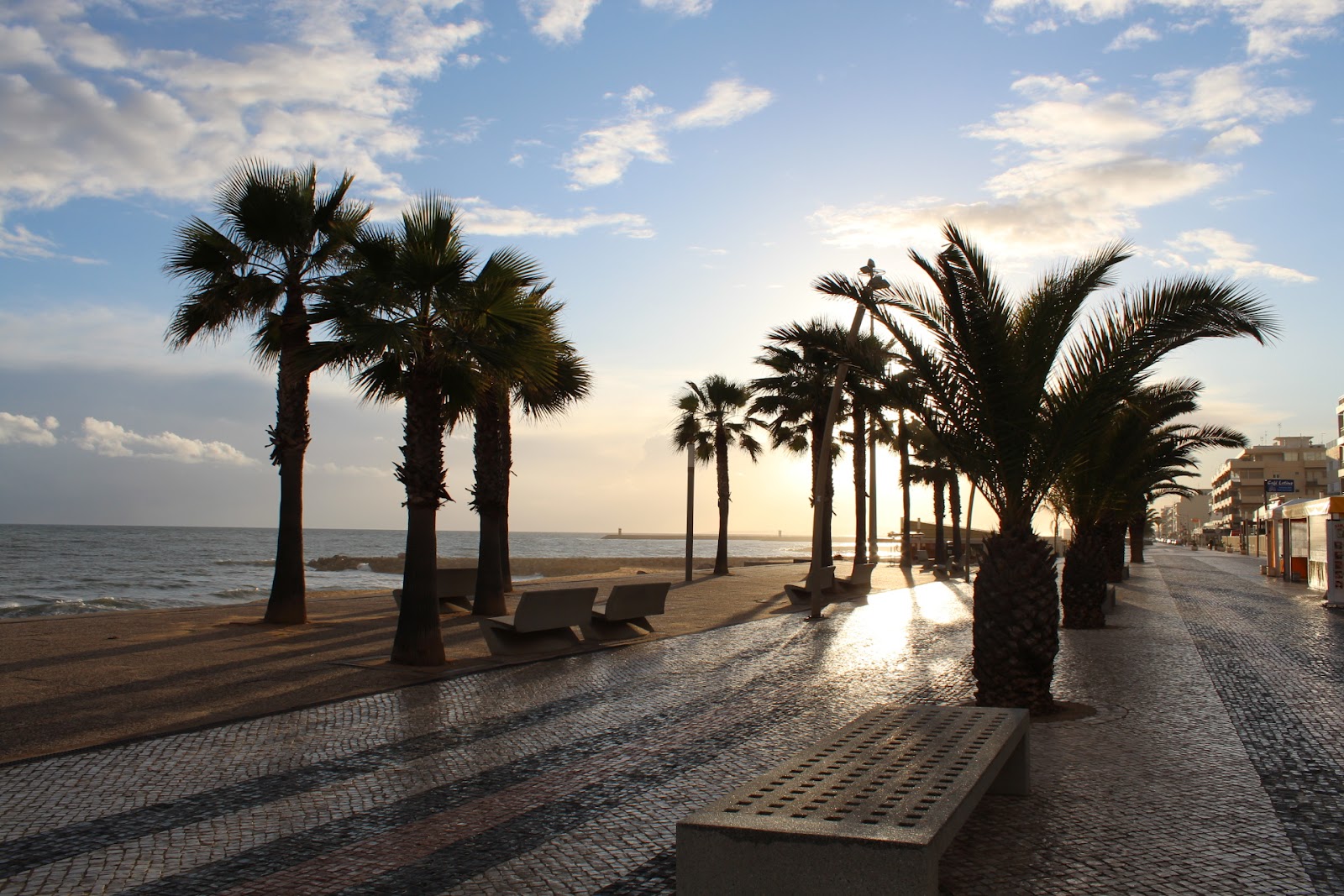 Historia y Genealogía: Quarteira. Portugal