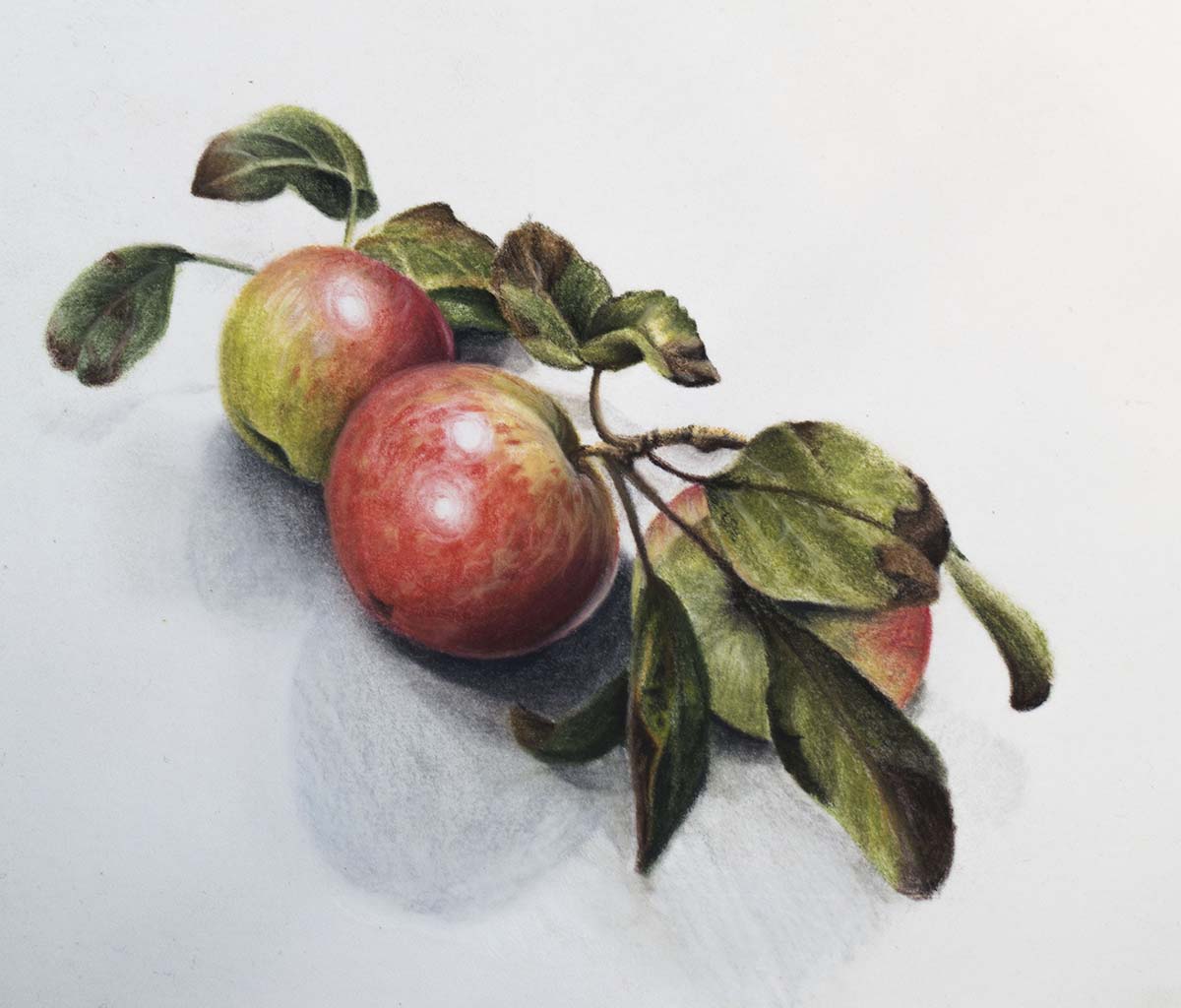 Cavalla Art: Apples in pastel