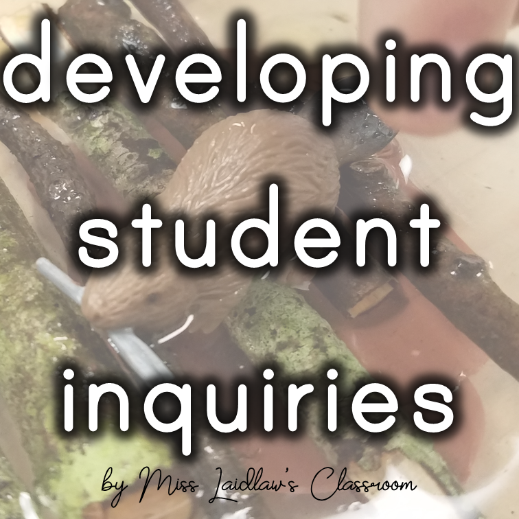 Miss Laidlaw's Classroom: Math Routine