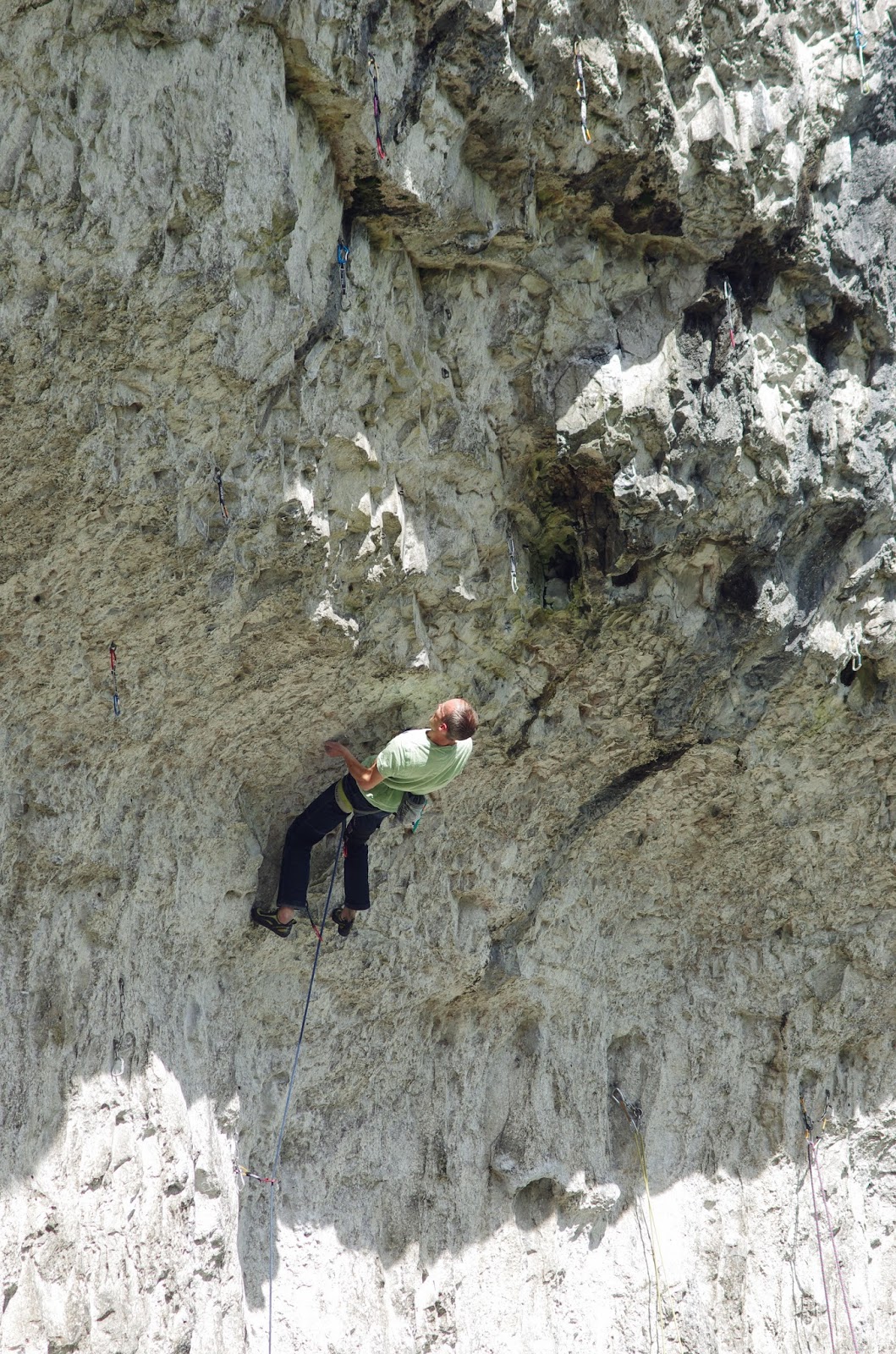 Ted's Blog: Bat Route and Overjustified