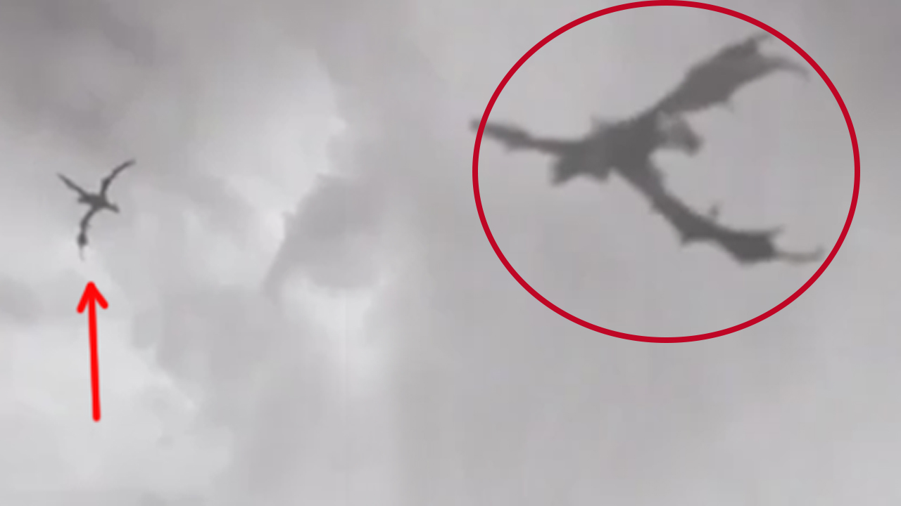 Watch! A Footage Of A Real Dragon Caught on Cam. You must check this ...