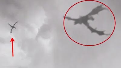 Watch! A Footage Of A Real Dragon Caught on Cam. You must check this ...
