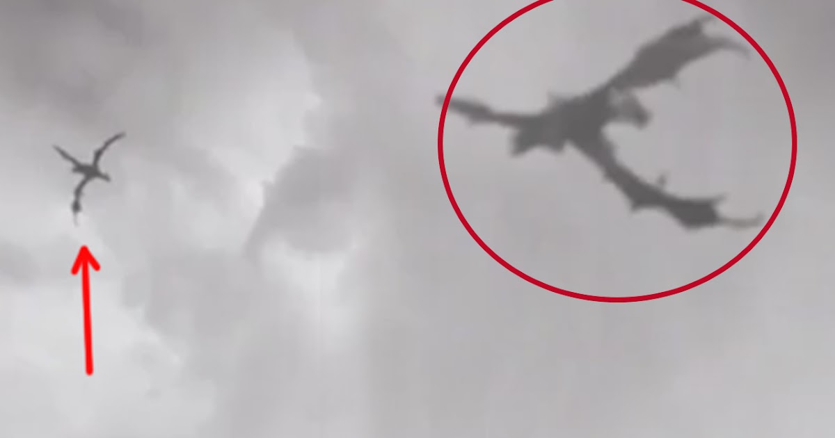 Watch! A Footage Of A Real Dragon Caught on Cam. You must check this ...