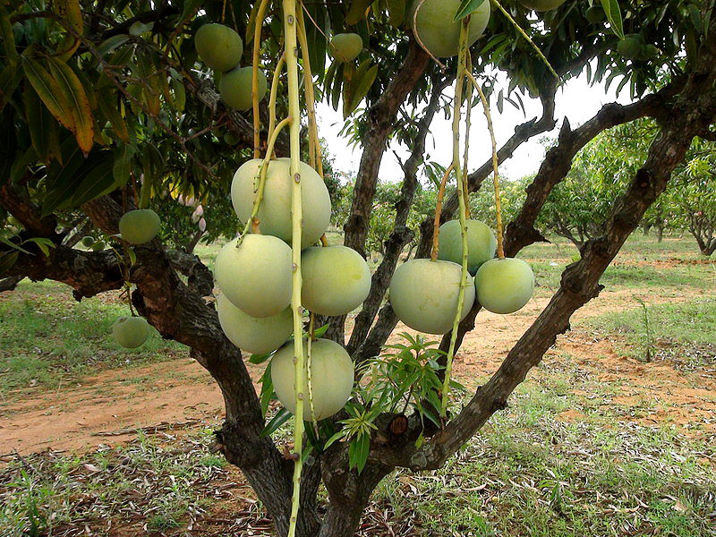 Roadfaring: Horsley Hills