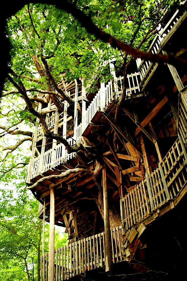 The Flying Tortoise: The World's Biggest Treehouse...
