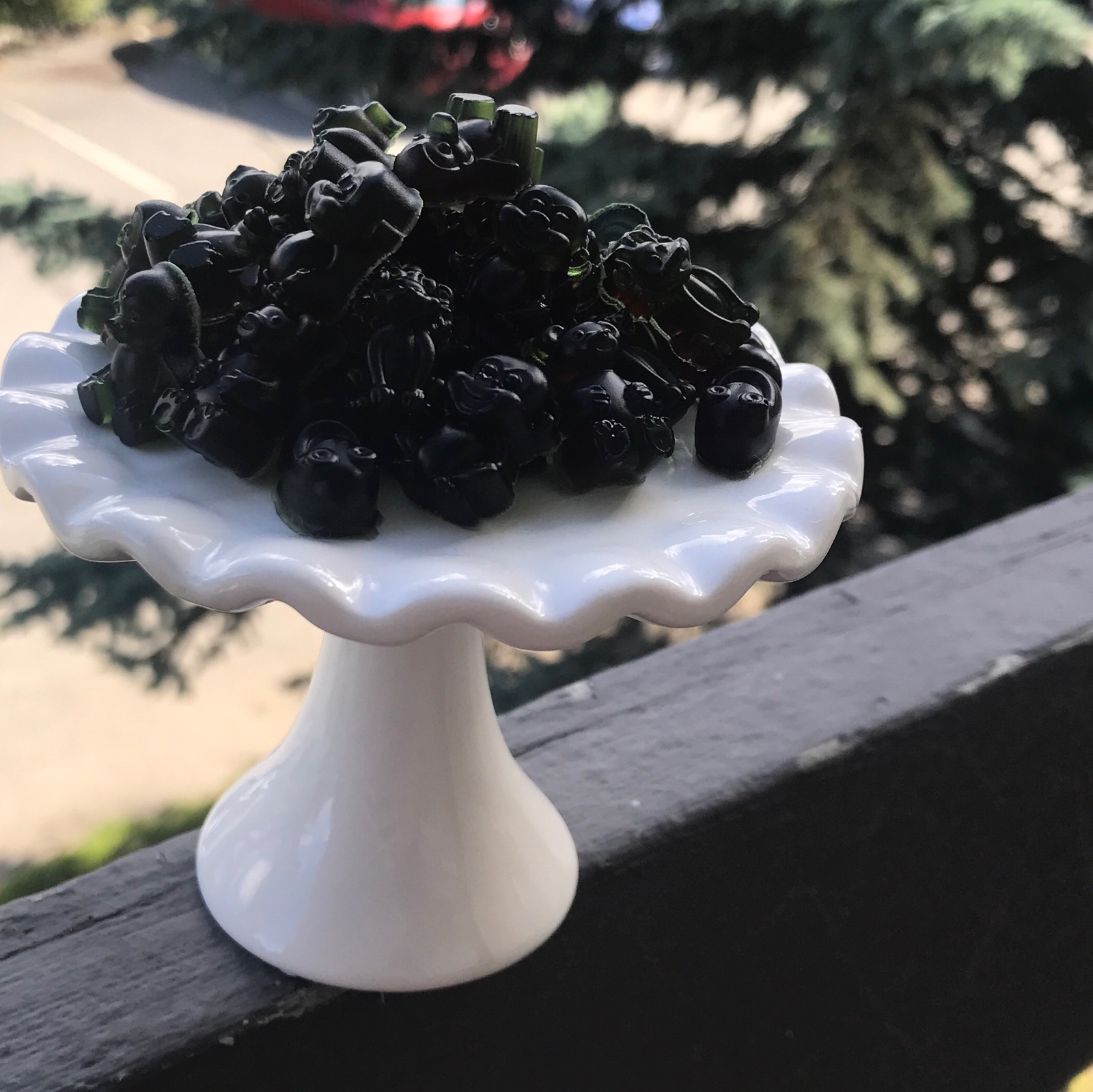 Molly Logic: The Whole Dang Gummy Zoo!