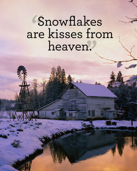 18 Absolutely Beautiful Winter Quotes About Snow - Our World Stuff
