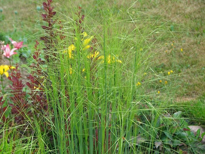 kahe valla piiri peal: VARRED - KÕRRED, ÕISIKUD - PÄHIKUD