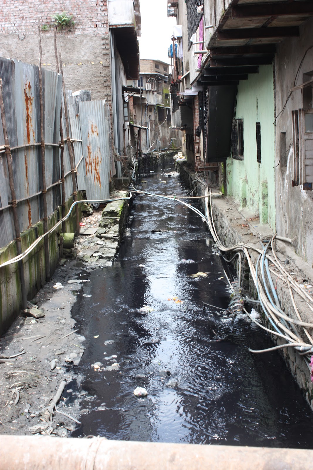 GW Reflections in India - Summer 2012: Sanitation, TB and poor ...