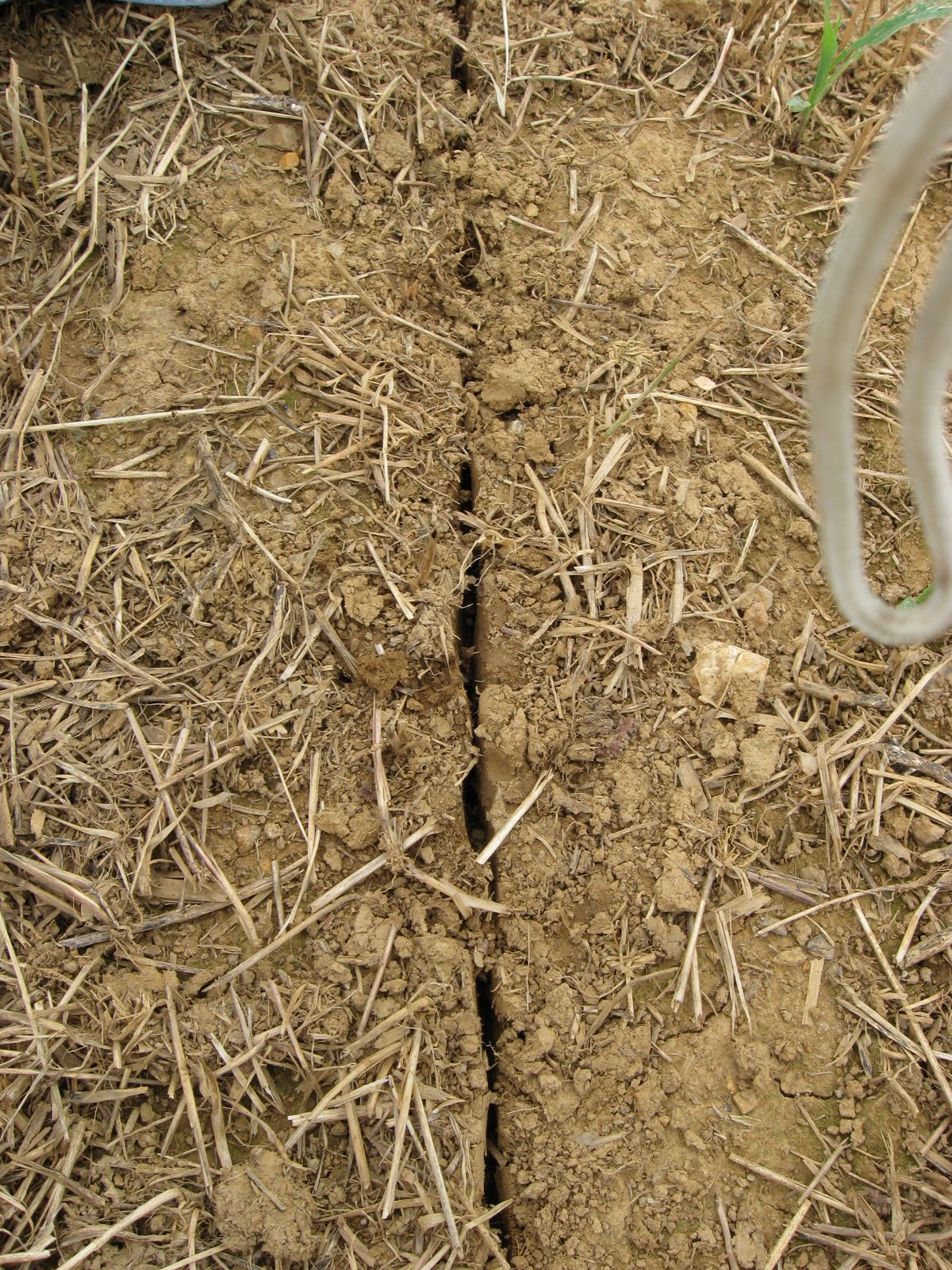 Slug Management and Options- – Lebanon Crop Management