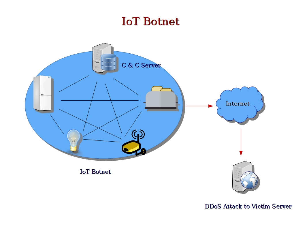 Computer Security and PGP: IoT Botnets and DDoS Attacks