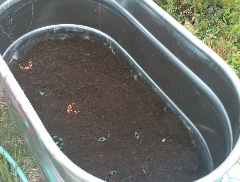 Let's make a difference!: Horse Trough Organic Garden