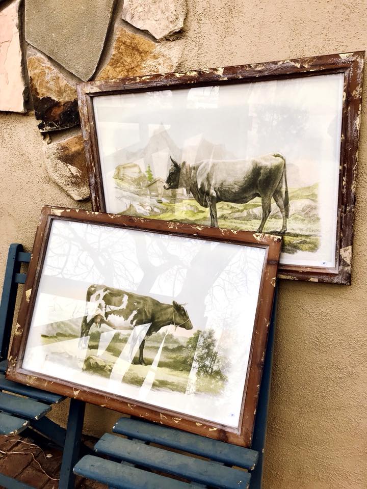 .: Farmhouse Cow Prints