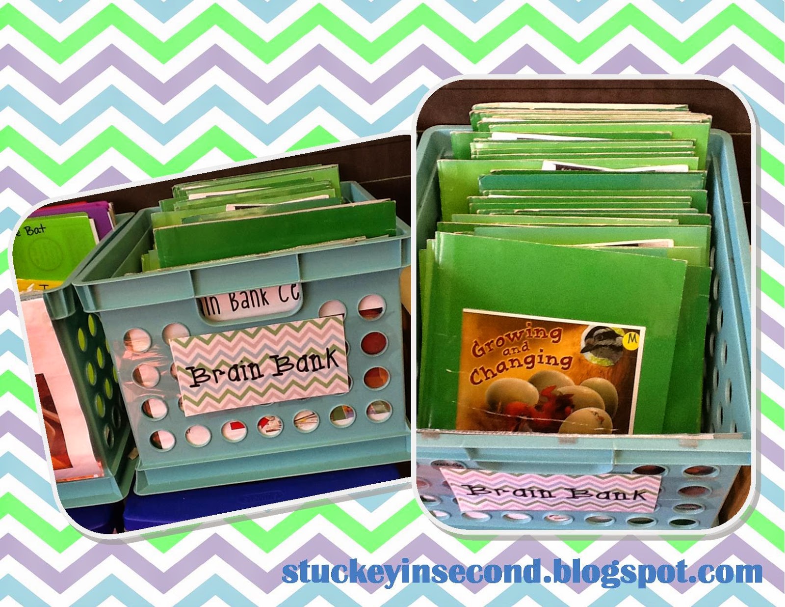 Stuckey in Second: Workstation Wednesday: Scholastic Brain Bank